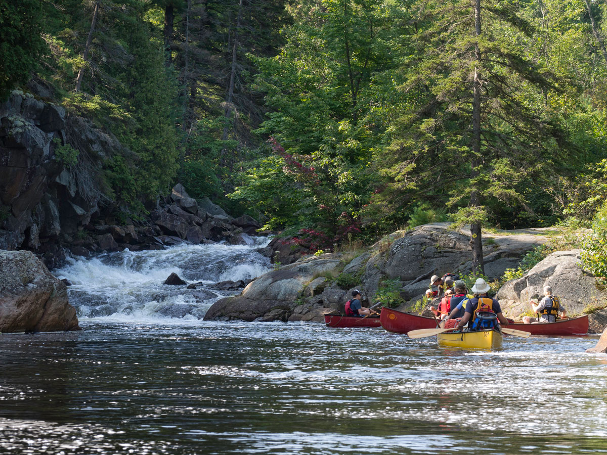 Amikwa Gibaakwagan- “The beaver house” Eco cabin - Point Grondine Park